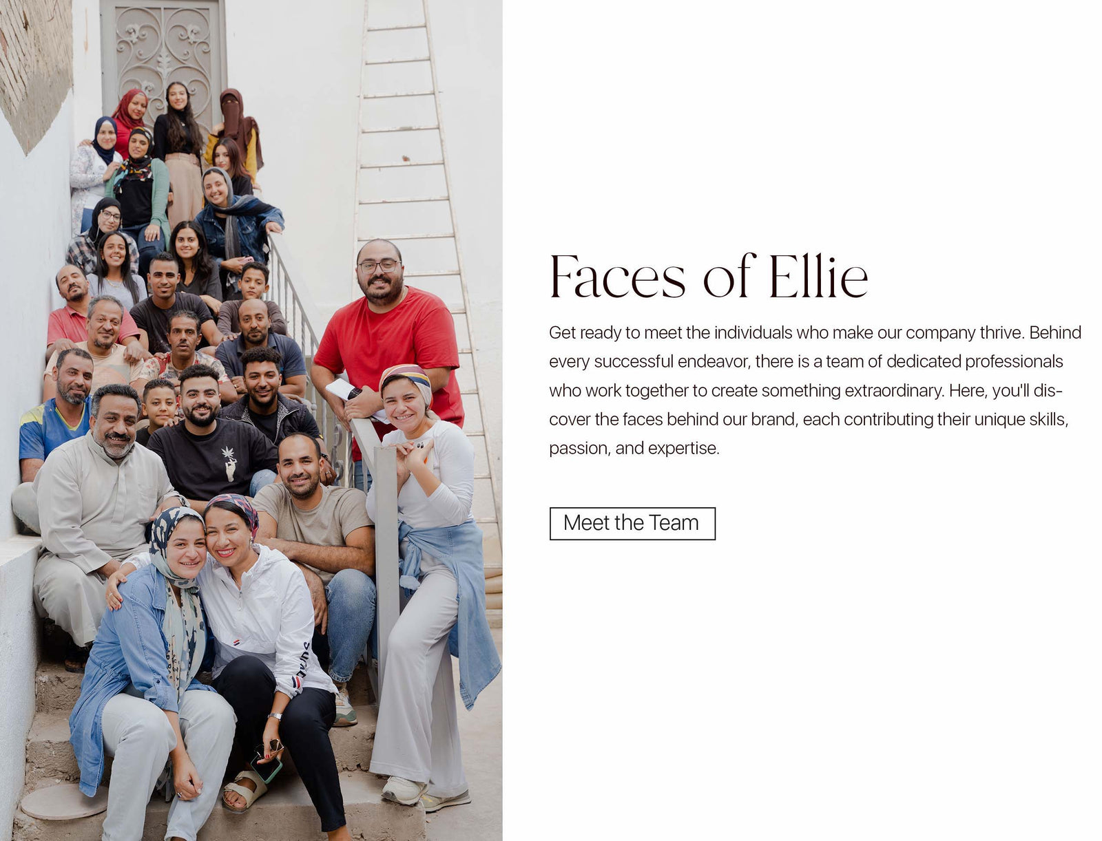 About Us — Ellie Home